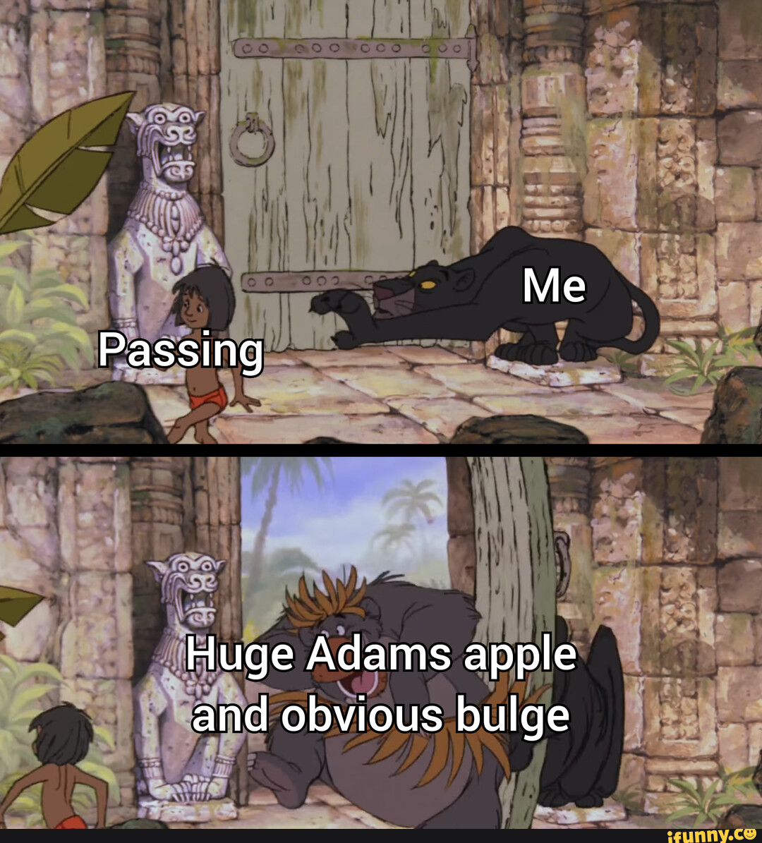 Eggirl - Passing Huge Adams apple and obvious bulge - iFunny