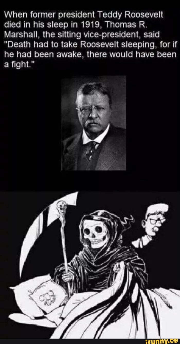 Theodore_roosevelt memes. Best Collection of funny Theodore_roosevelt ...