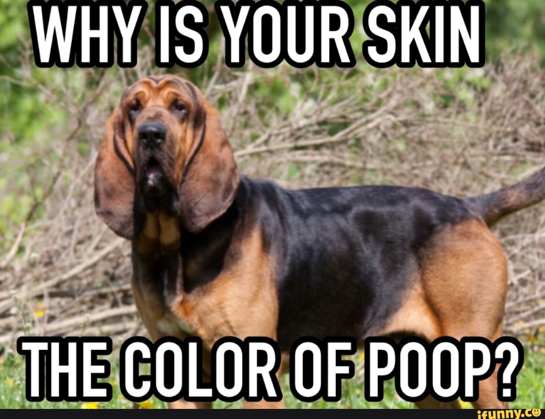 WHY YOUR SKIN THE COLOR OF POOP? - iFunny