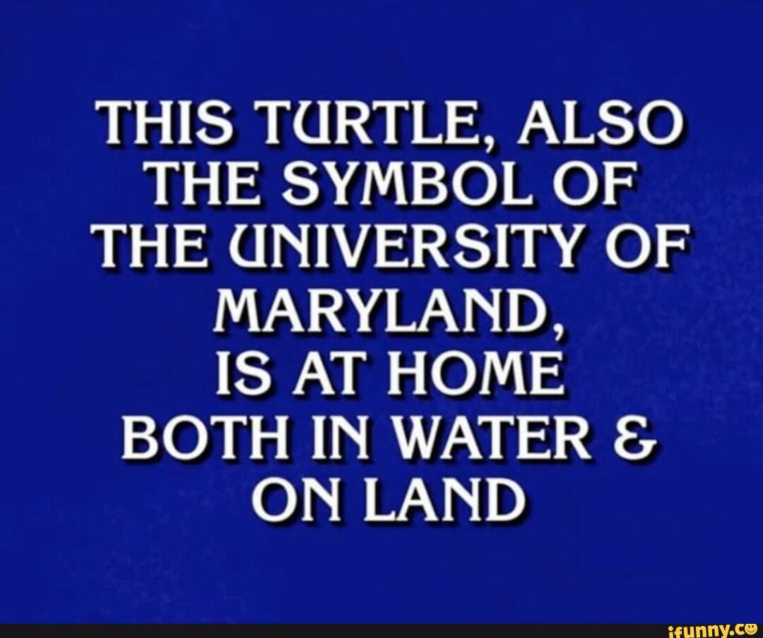 Testudo memes. Best Collection of funny Testudo pictures on iFunny