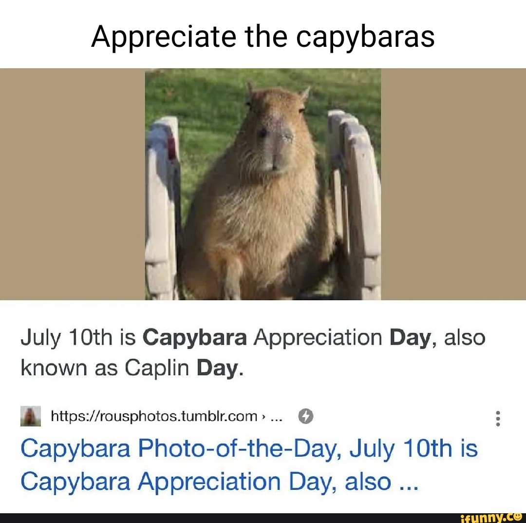 Appreciate the capybaras July 10th is Capybara Appreciation Day, also ...
