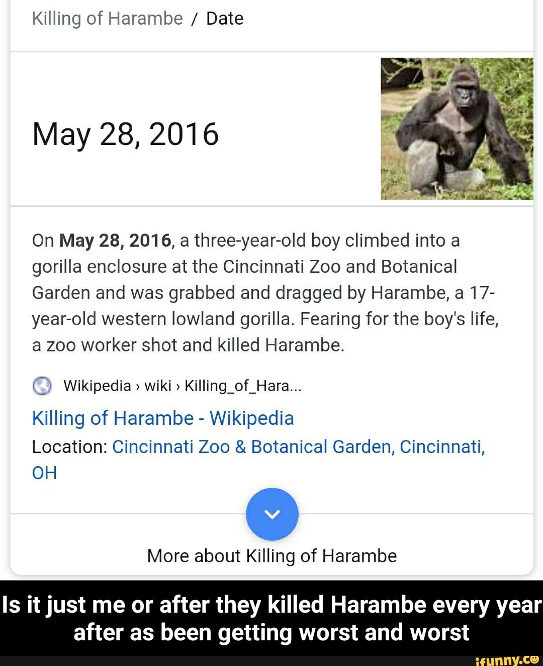 Killing of Harambe Date May 28, 2016 On May 28, 2016, a three-year-old ...