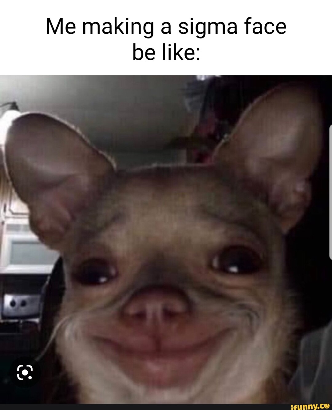 Simga memes. Best Collection of funny Simga pictures on iFunny