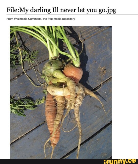 Repository memes. Best Collection of funny Repository pictures on iFunny