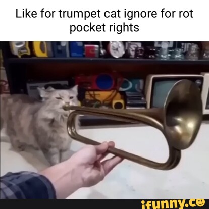 Rot memes. Best Collection of funny Rot pictures on iFunny