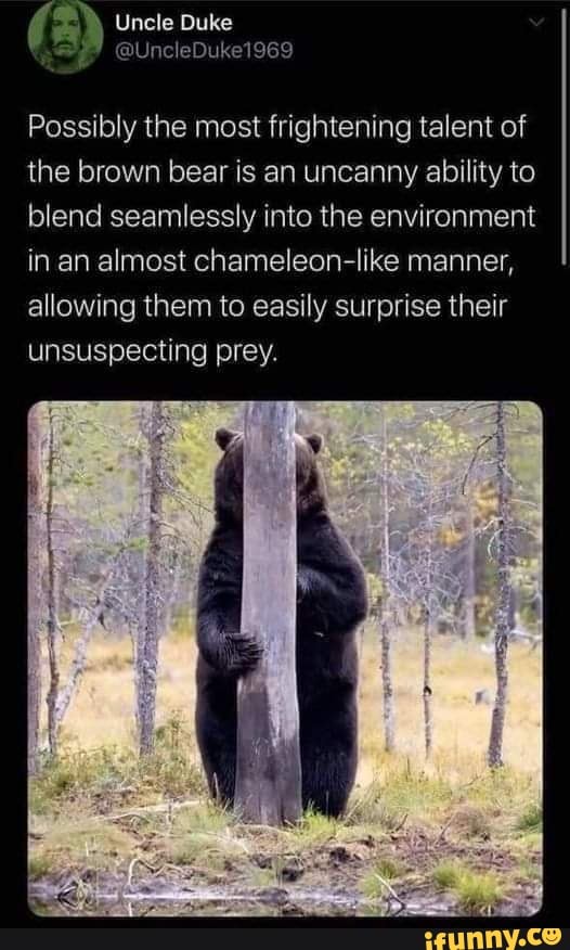 Uncle Duke Possibly the most frightening talent of the brown bear is an ...