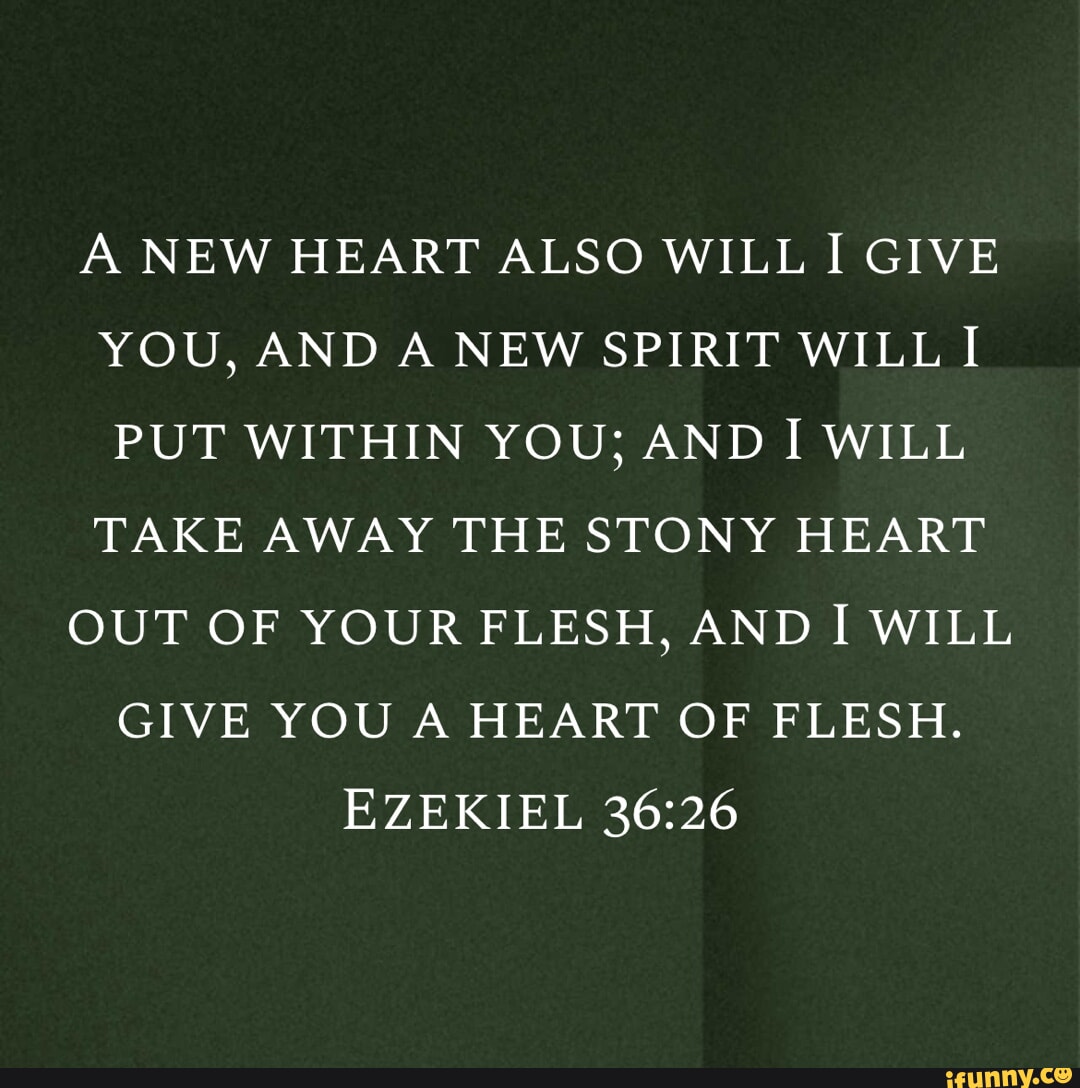 Stony memes. Best Collection of funny Stony pictures on iFunny