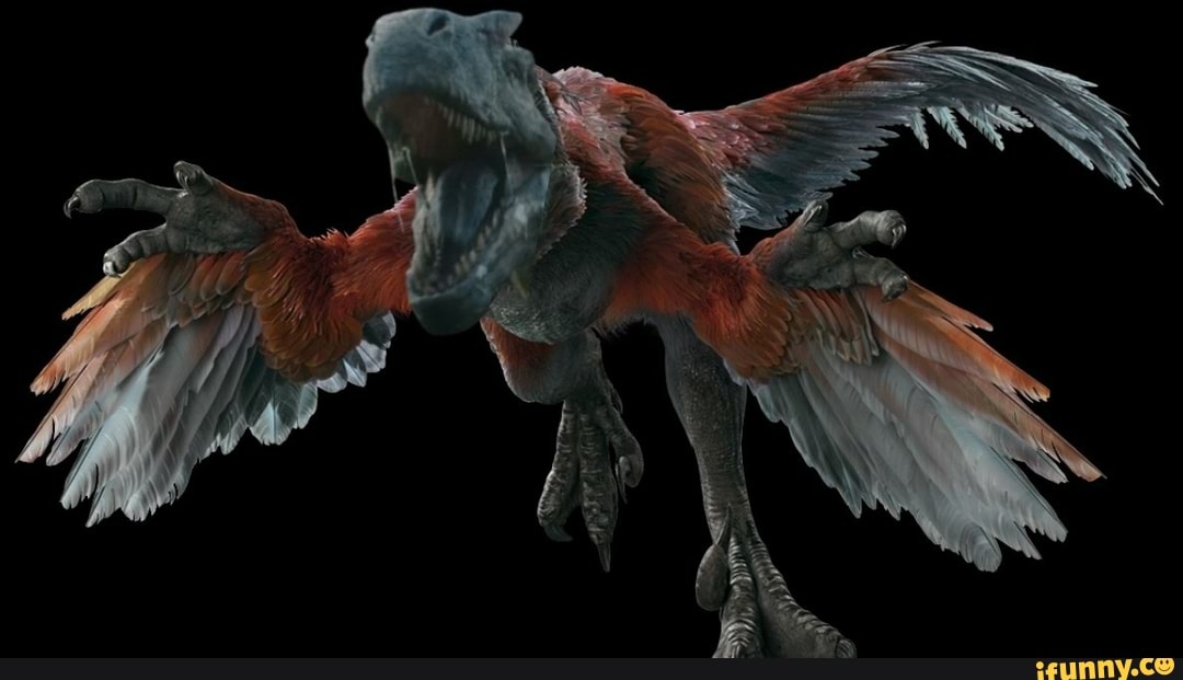 Pyroraptor memes. Best Collection of funny Pyroraptor pictures on iFunny