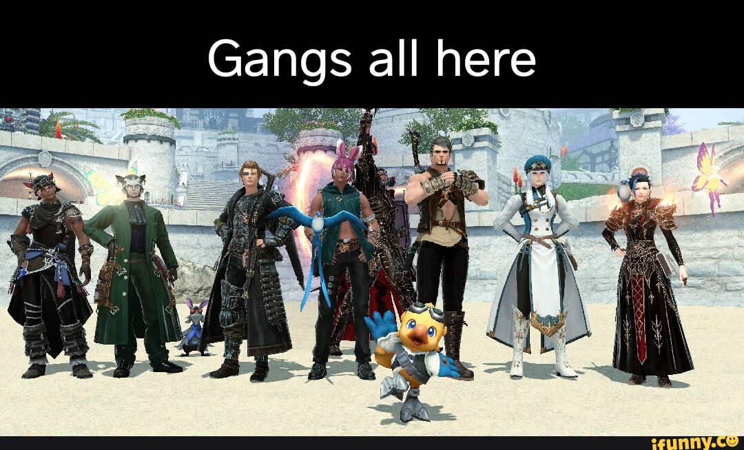 Gangs memes. Best Collection of funny Gangs pictures on iFunny