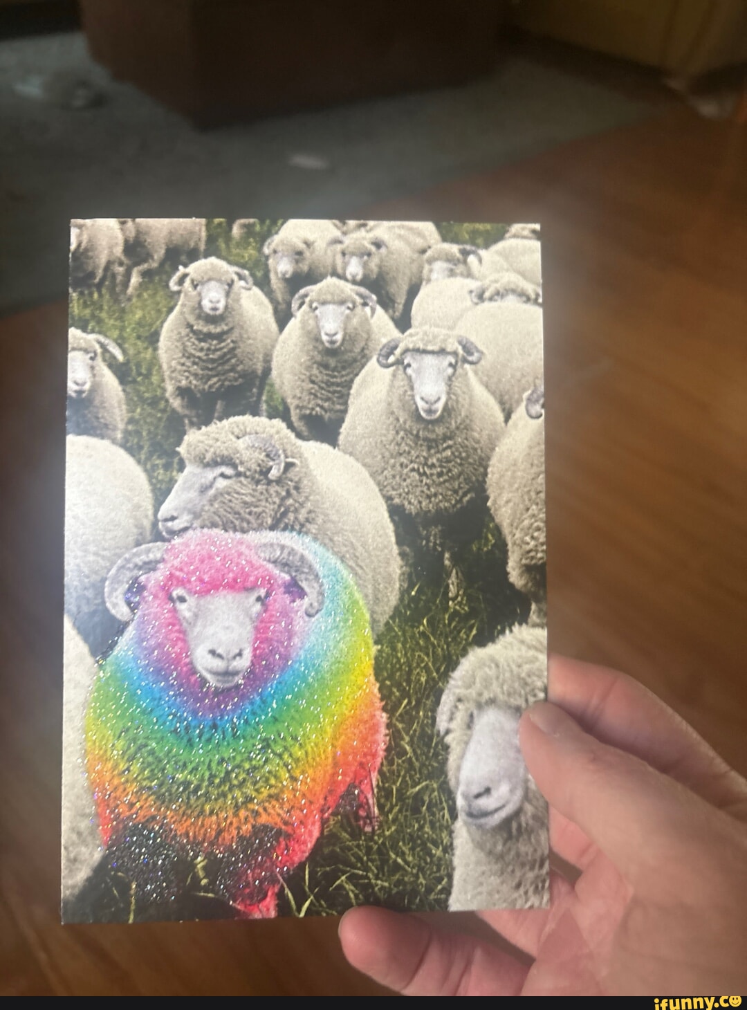 Sheep memes. Best Collection of funny Sheep pictures on iFunny