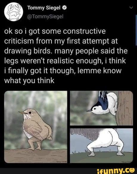 No_frogs memes. Best Collection of funny No_frogs pictures on iFunny