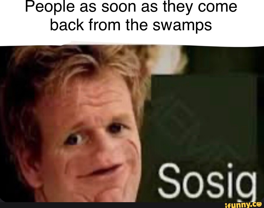 Valheim memes. Best Collection of funny Valheim pictures on iFunny