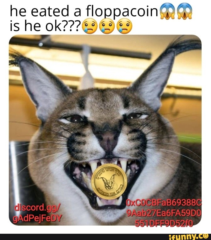 Gougar memes. Best Collection of funny Gougar pictures on iFunny