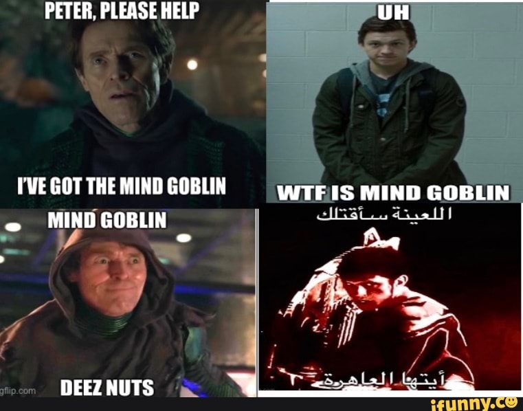PETER, PLEASE HELP is e I'VE GOT THE MIND GOBLIN yt MINDGOBLIN oom NUTS - iFunny