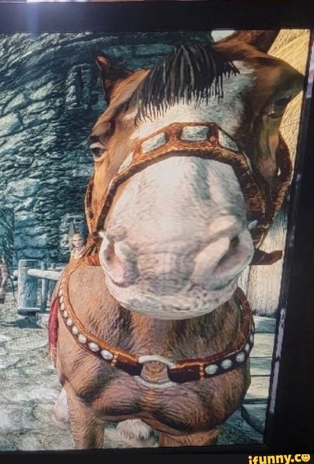 Honse memes. Best Collection of funny Honse pictures on iFunny