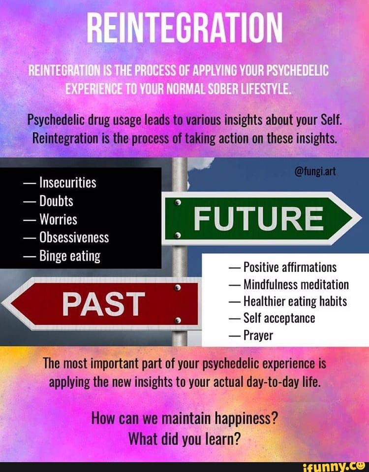 REINTEGRATION REINTEGRATION THE PROCESS OF APPLYING YOUR PSYCHEDELIC TO ...