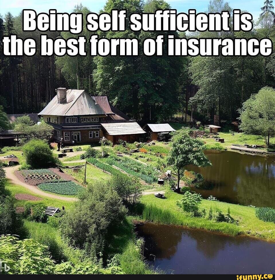 Beiig self sufficient i is. the best form of insurance - iFunny