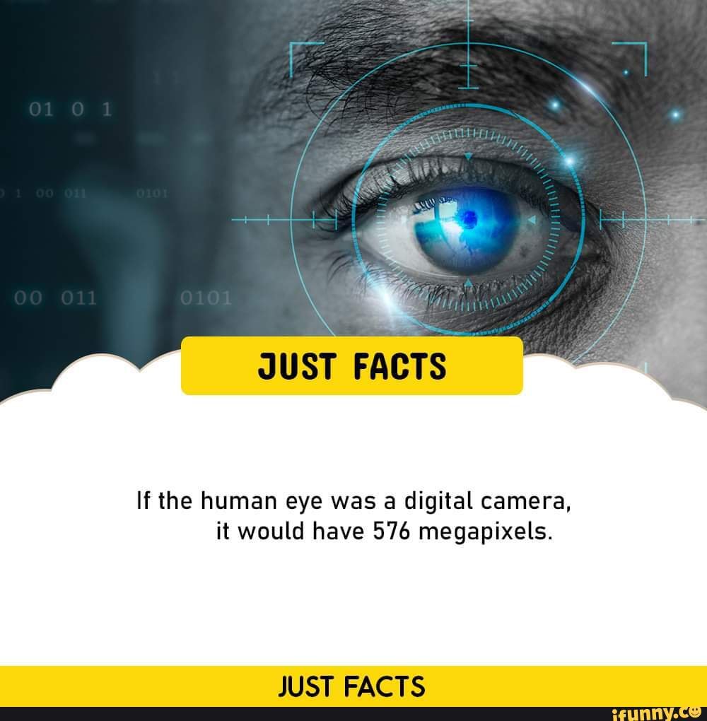JUST FACTS If the human eye was a digital camera, it would have 576 ...