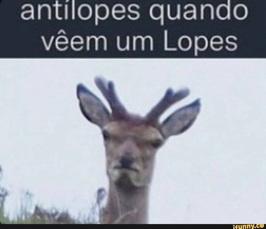 Antilopes quando vêem um Lopes - iFunny Brazil