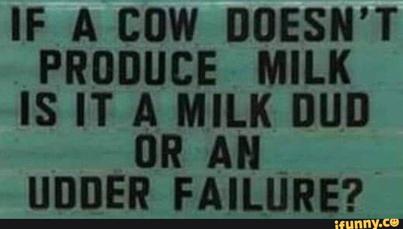 Udder memes. Best Collection of funny Udder pictures on iFunny