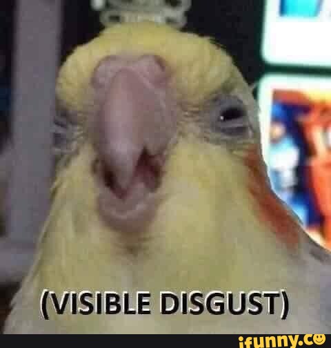 (VISIBLE DISGUST) - iFunny
