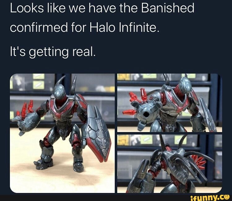Looks like we have the Banished confirmed for Halo Infinite. - iFunny