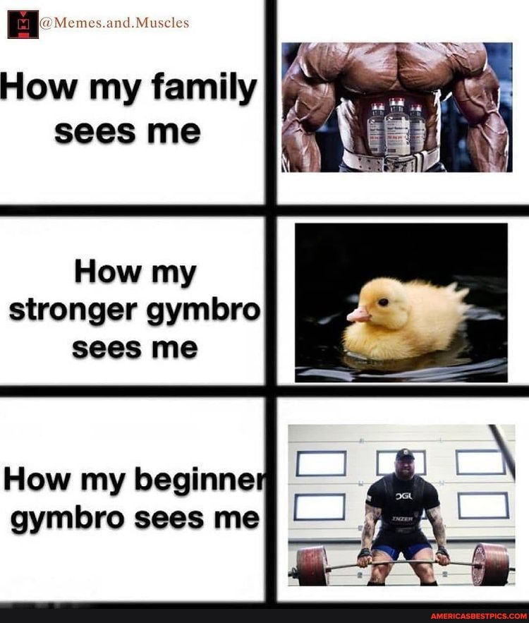 Bic Memes.and.Muscles How my family sees me How my stronger gymbro sees ...