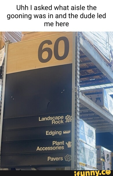 Pavers memes. Best Collection of funny Pavers pictures on iFunny