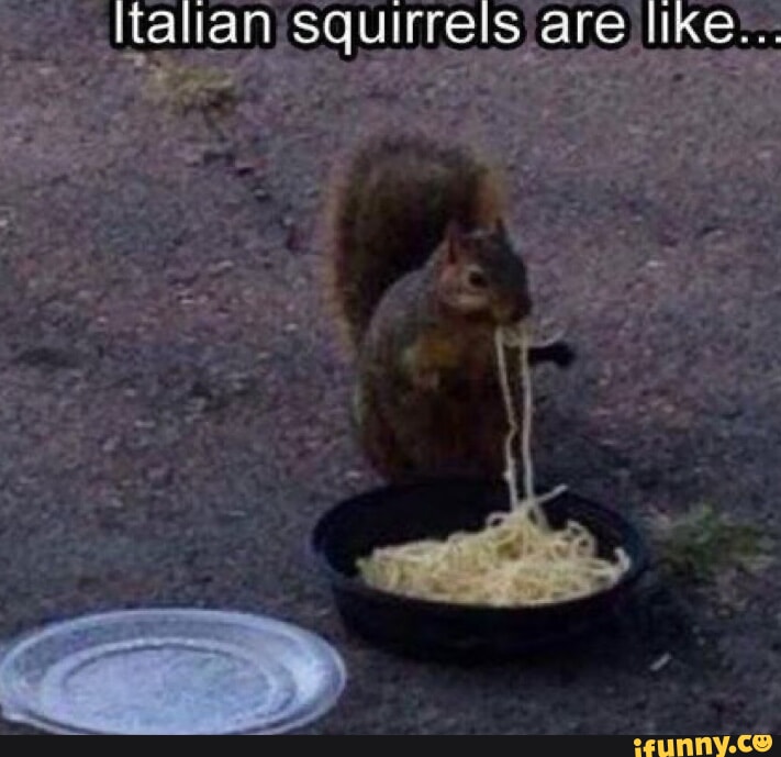 Tala memes. Best Collection of funny Tala pictures on iFunny