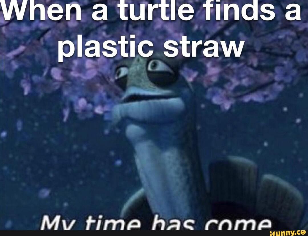 When a turtle finds a plastic straw - iFunny