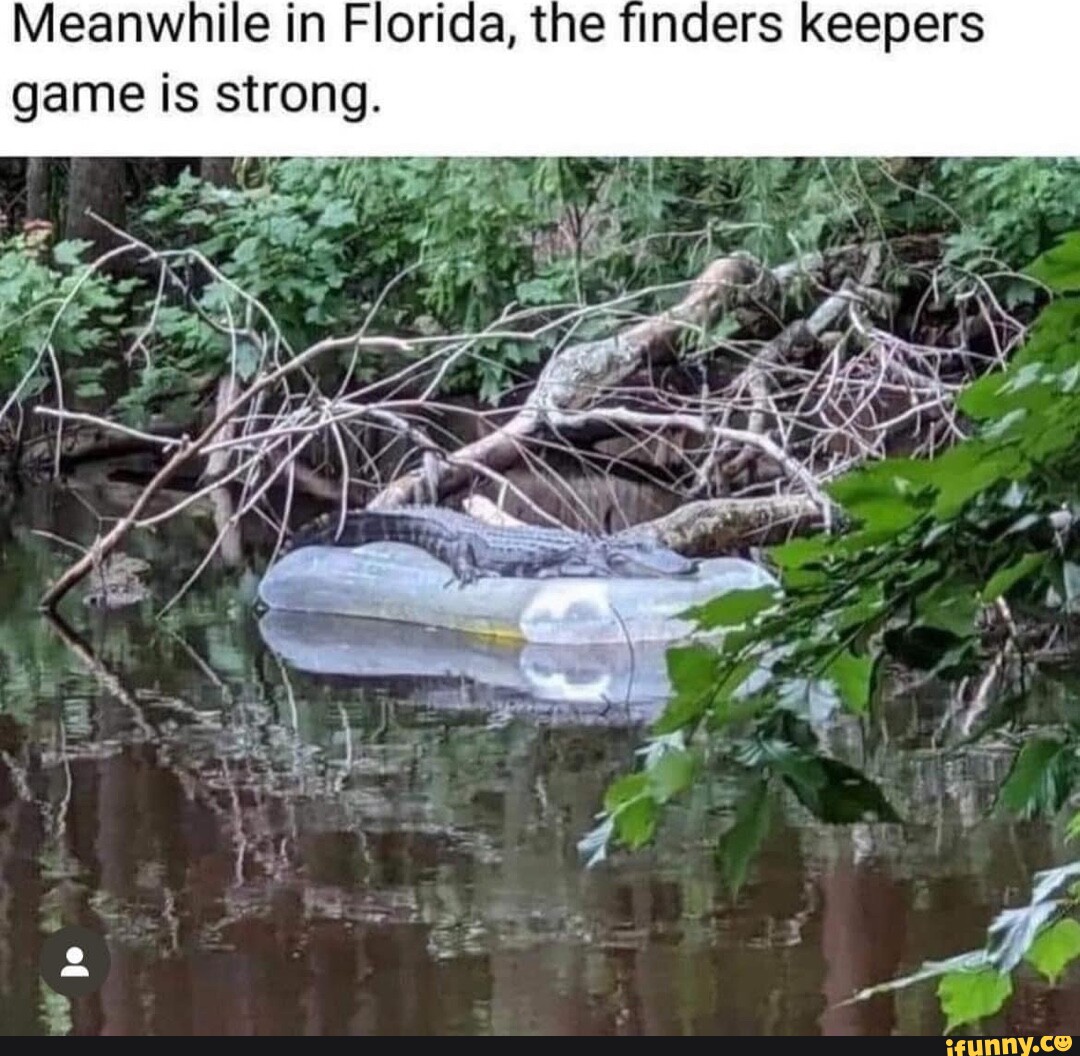 Floatie memes. Best Collection of funny Floatie pictures on iFunny