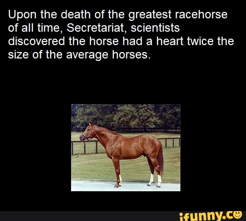 Upon the death of the greatest racehorse of all time, Secretariat ...