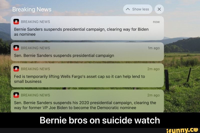 Bernie Sanders suspends presidential campaign, clearing way for Biden ...