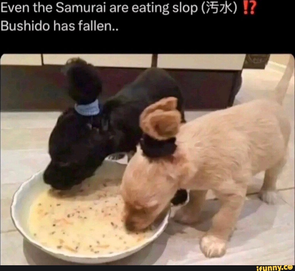 Bushido memes. Best Collection of funny Bushido pictures on iFunny