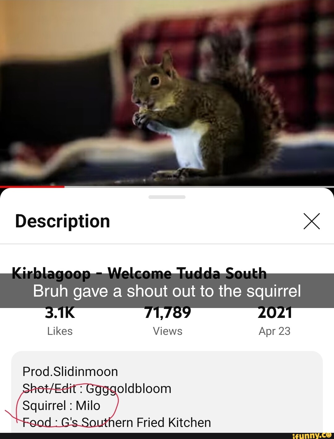 Milo memes. Best Collection of funny Milo pictures on iFunny