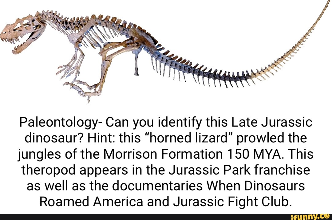 Paleontology- Can you identify this Late Jurassic dinosaur? Hint: this ...