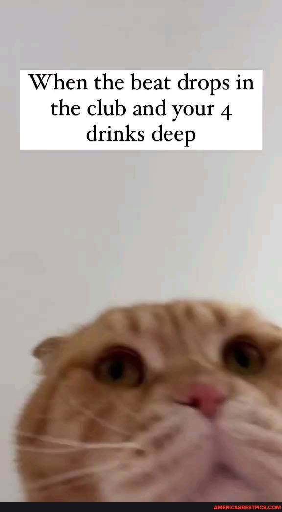 Lmaoooo 😂 Follow @wholesomebeeches for everyday memes! . . #memes #meme ...