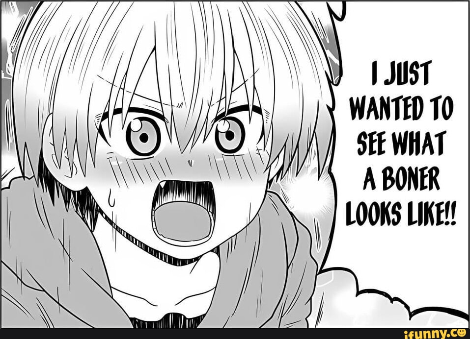 WANTED 10 SEE WHAT A BONER LOOKS LIKE! - iFunny