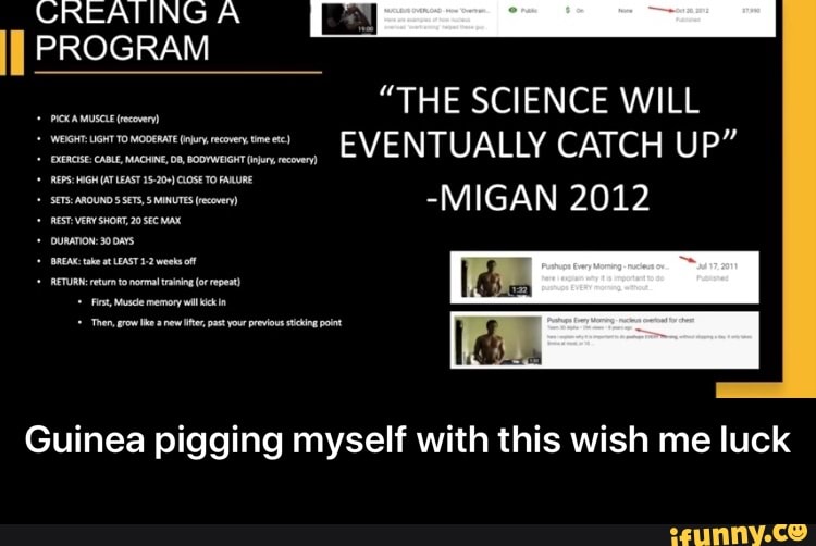 Pigging memes. Best Collection of funny Pigging pictures on iFunny