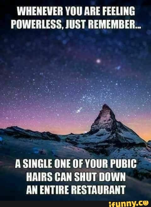 Pubichair Memes Best Collection Of Funny Pubichair Pictures On Ifunny