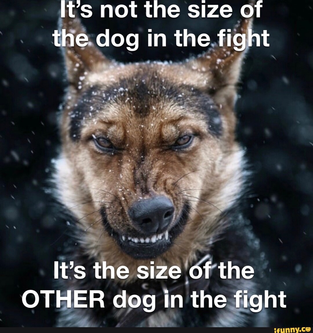 It's not the size of the dog in the fight ab Sf It's the size of the ...
