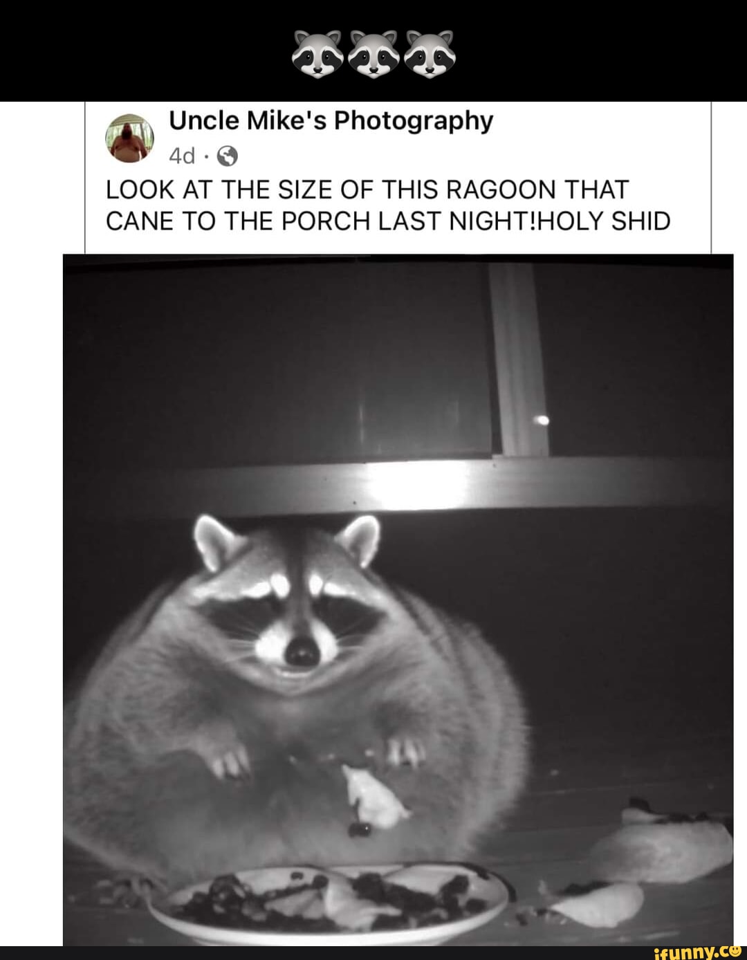 BOD Uncle Mike's Photography LOOK AT THE SIZE OF THIS RAGOON THAT CANE ...