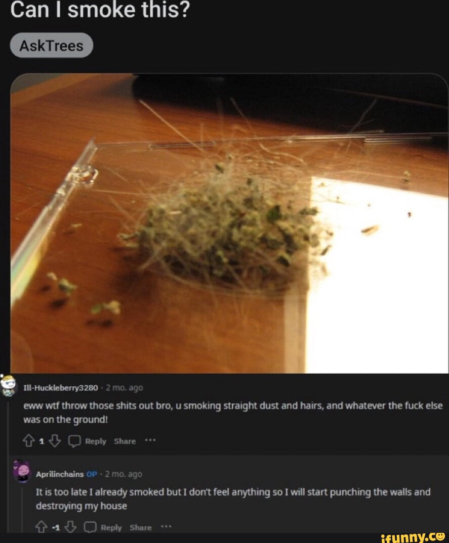 Video memes hLuT7Wx7B by some_guy93: 3 comments - iFunny