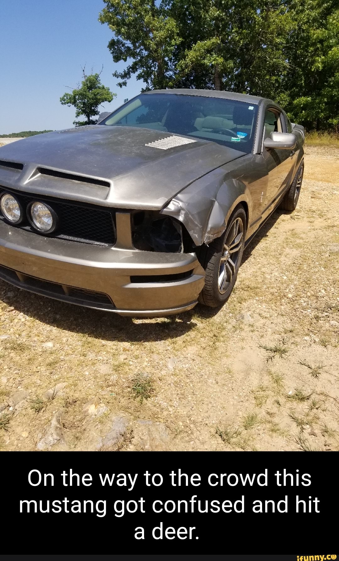 On the way to the crowd this mustang got confused and hit a deer. - iFunny