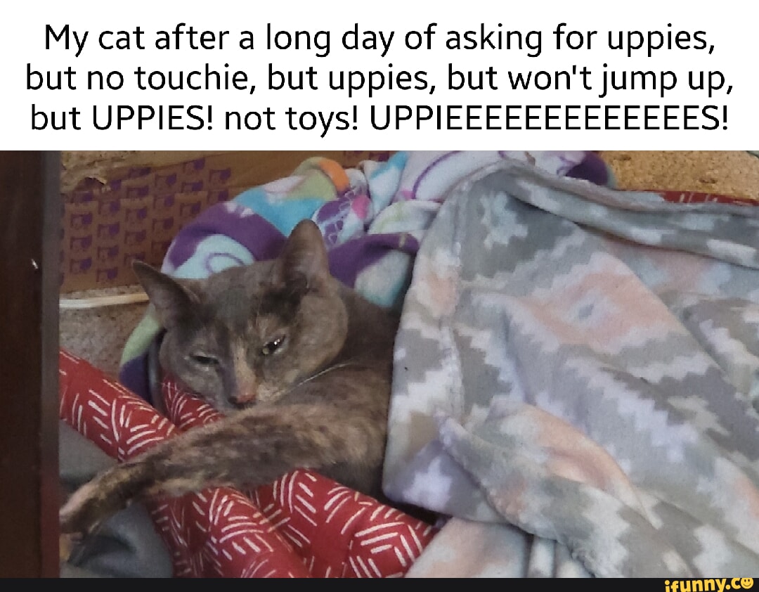 Uppies memes. Best Collection of funny Uppies pictures on iFunny