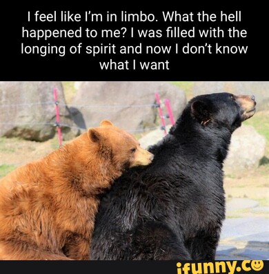 Limbo memes. Best Collection of funny Limbo pictures on iFunny