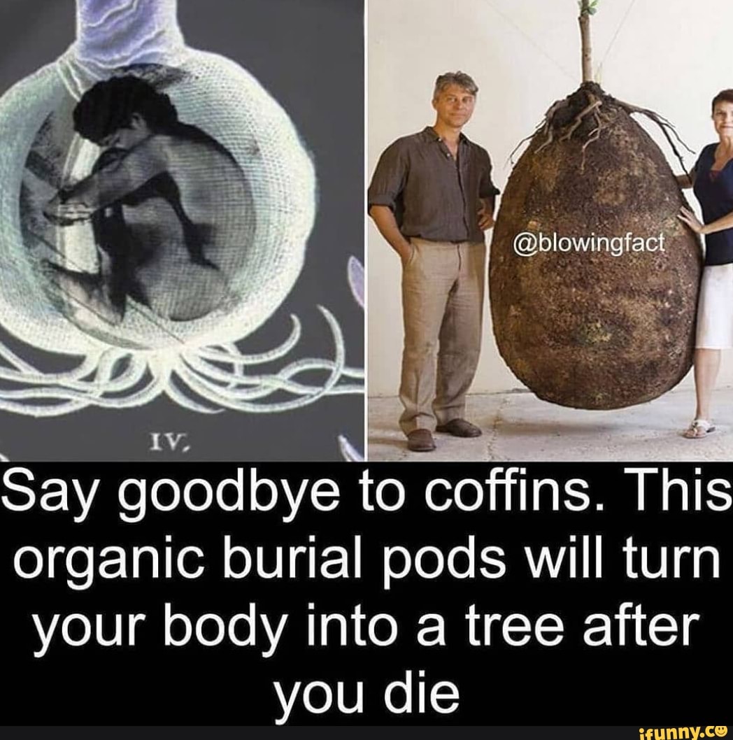 Say goodbye to coffins. This organic burial pods will turn your body ...