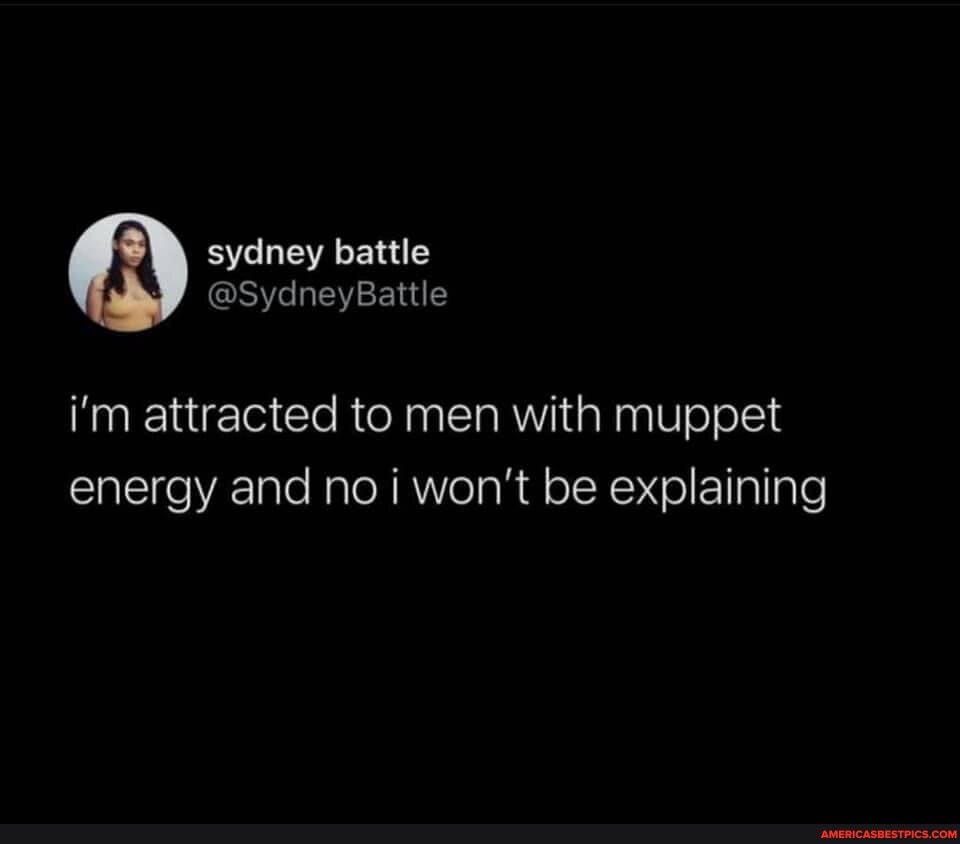 Sydney battle @SydneyBattle i'm attracted to men with muppet energy and ...