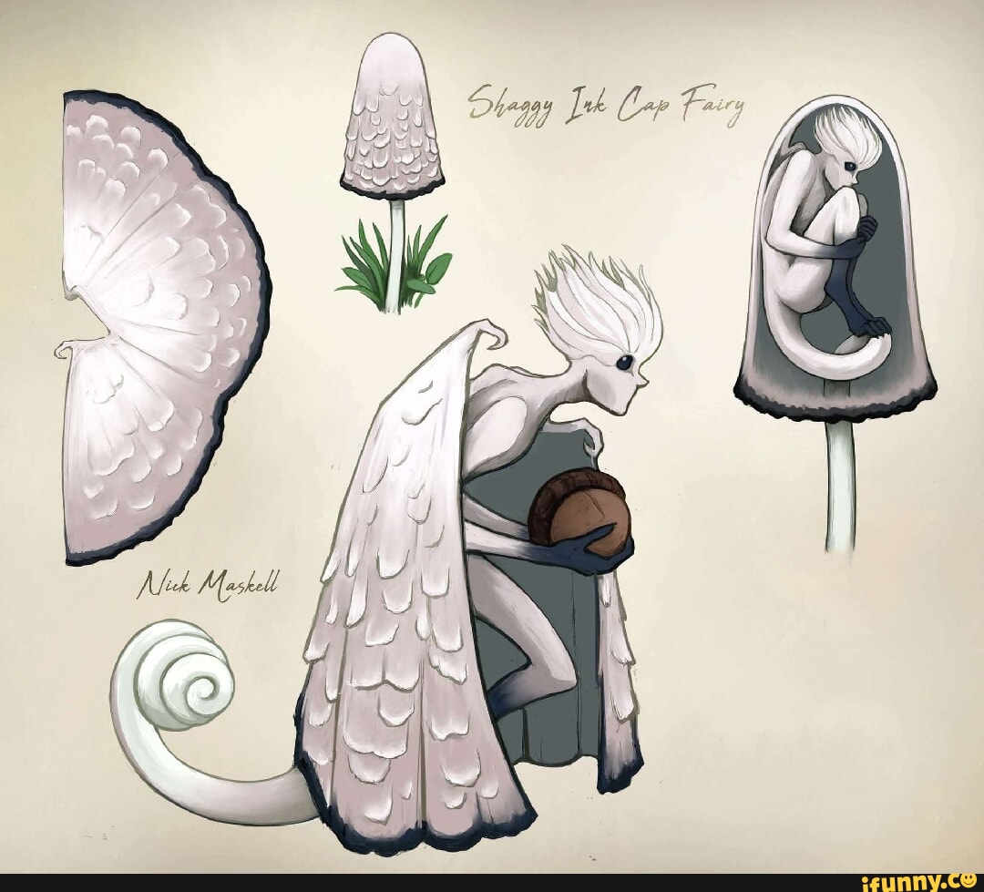 iFunny - the best memes, video, gifs and funny pics in one place