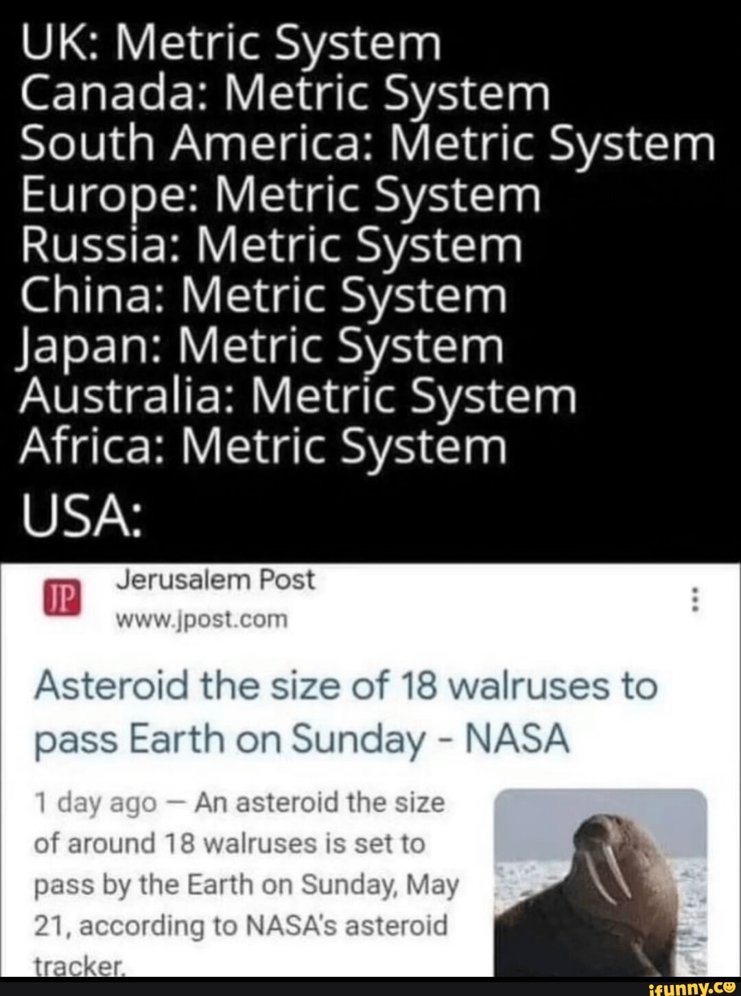 Walruses memes. Best Collection of funny Walruses pictures on iFunny